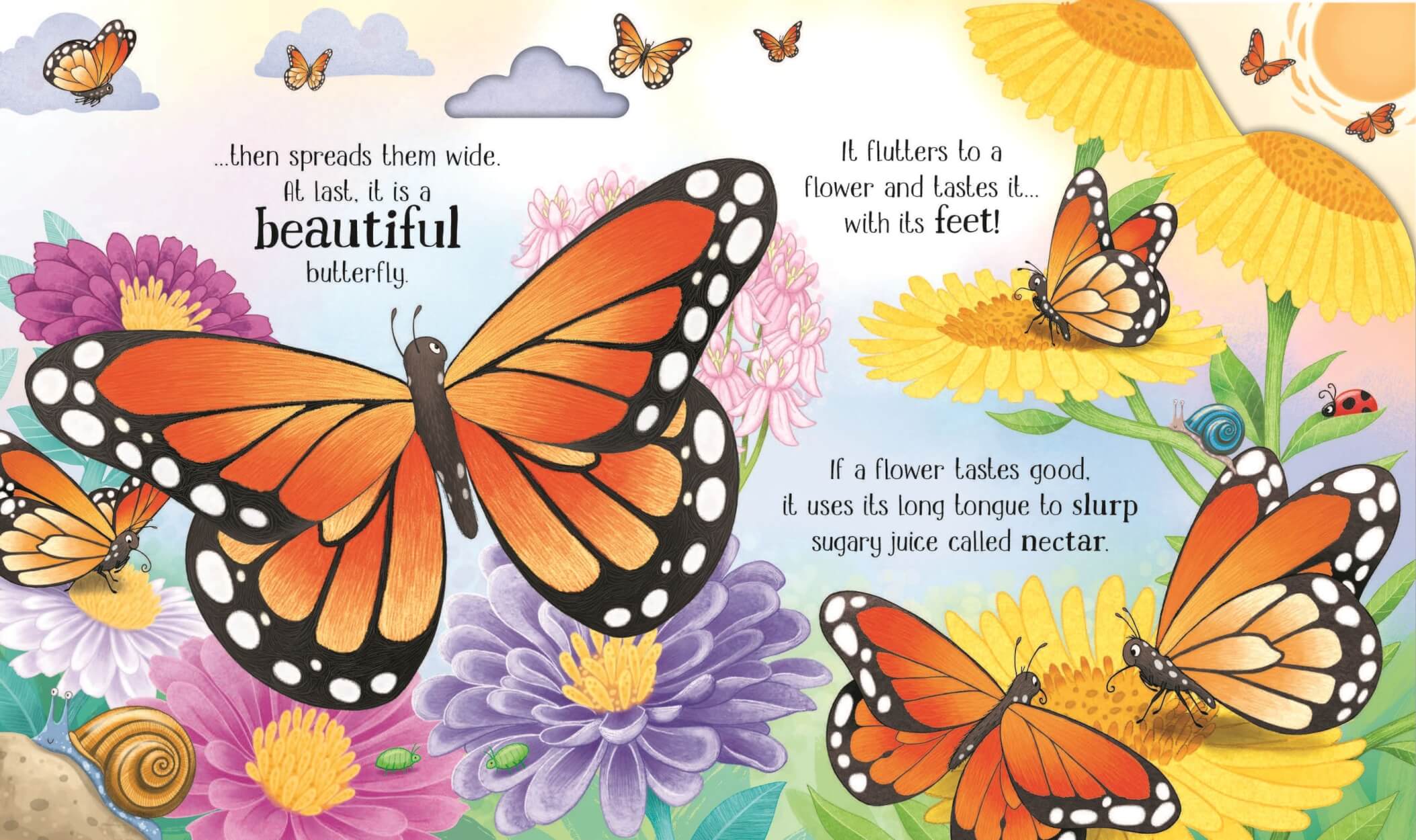 One Little Butterfly / Wydawnictwo Usborne - Dobre Liski